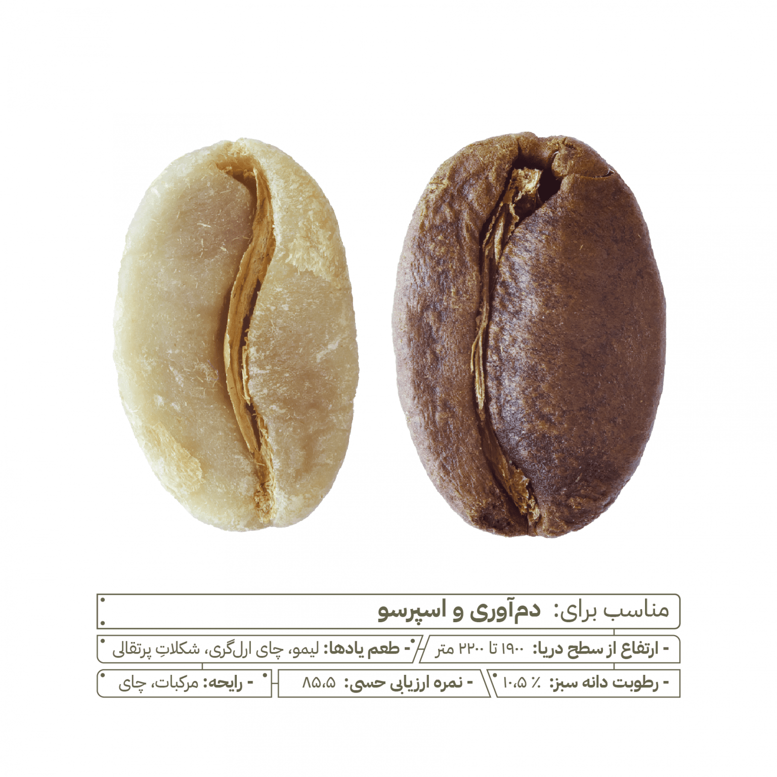 Ethiopia Heirloom Hambella - کارخانه قهوه ژاو